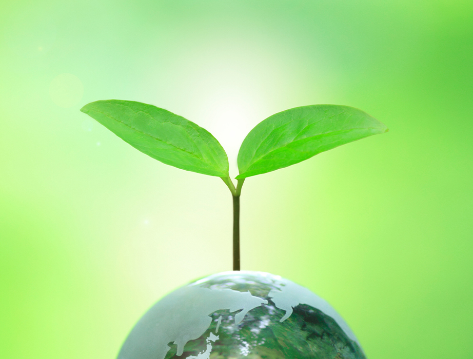 SUSTAINABILITY_Anji Microelectronics